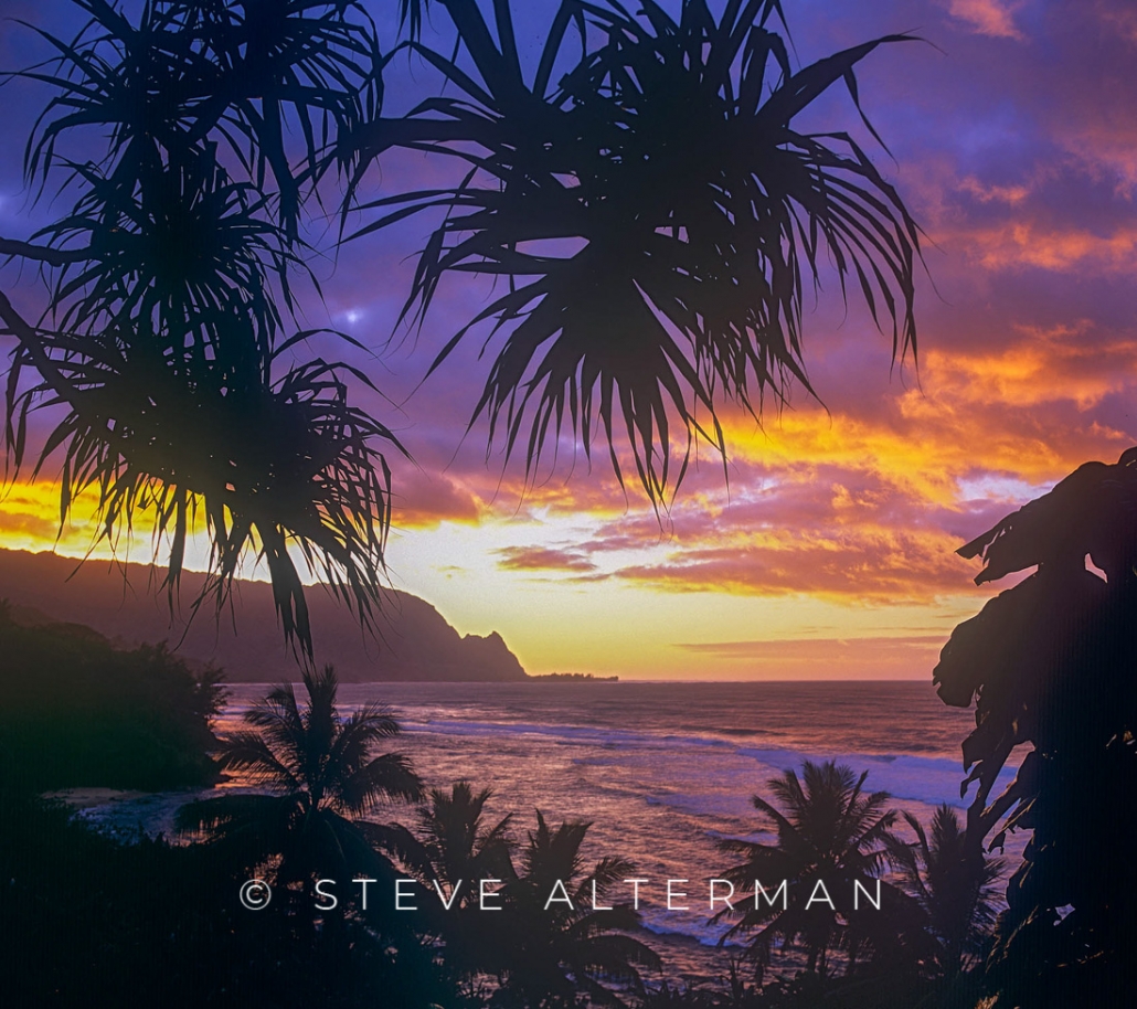 Hawaii | Steve Alterman Photography